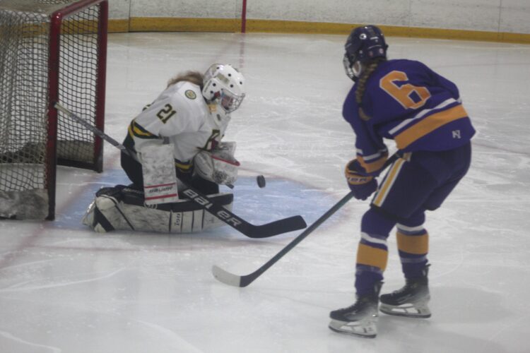 TELEGRAPH ALL-STARS: Mantone, Casey were cool on ice | News, Sports ...